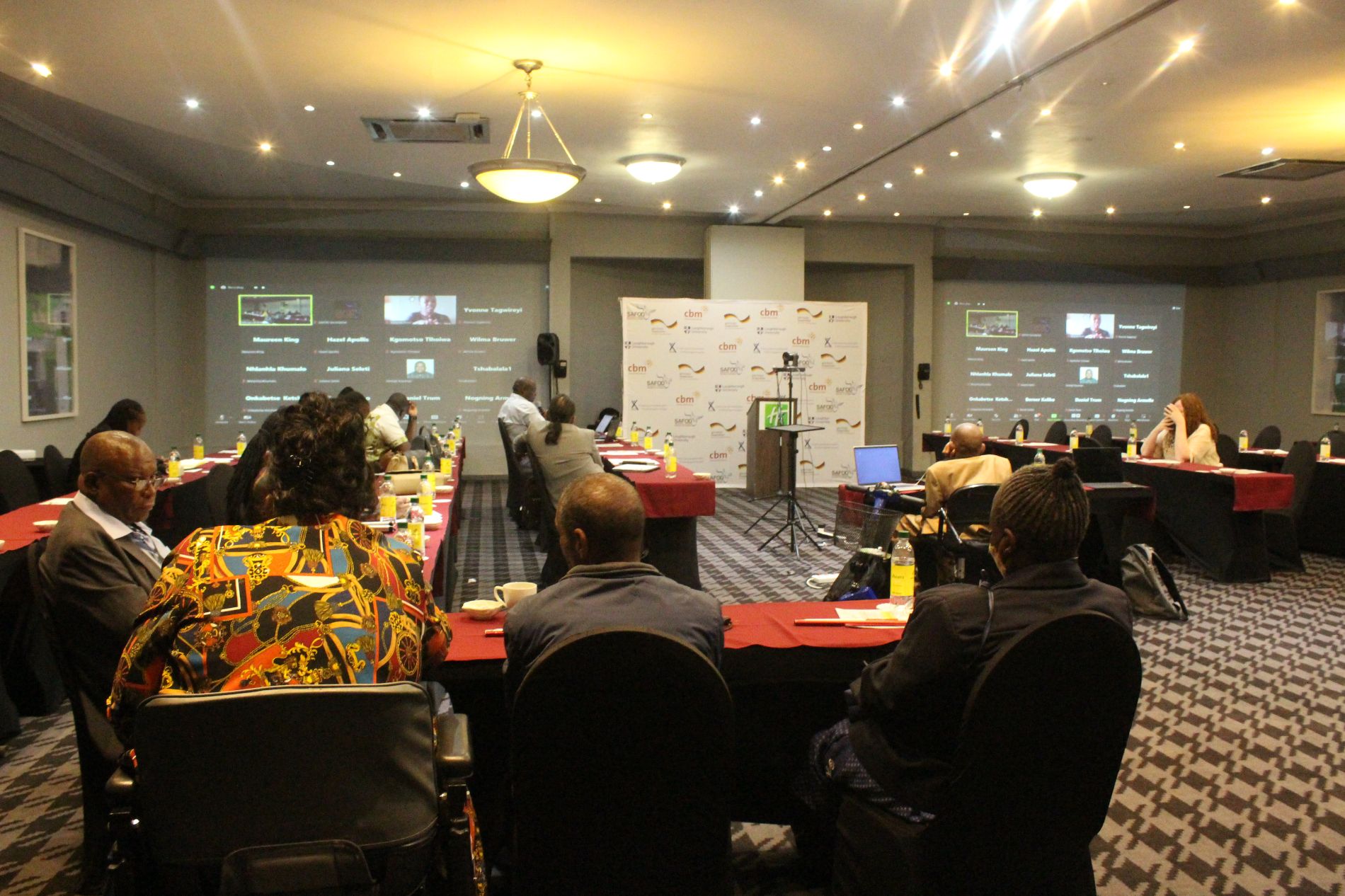 Ensuring participation of all to reduce risk: GIDRM at the Southern African Regional Disability ...